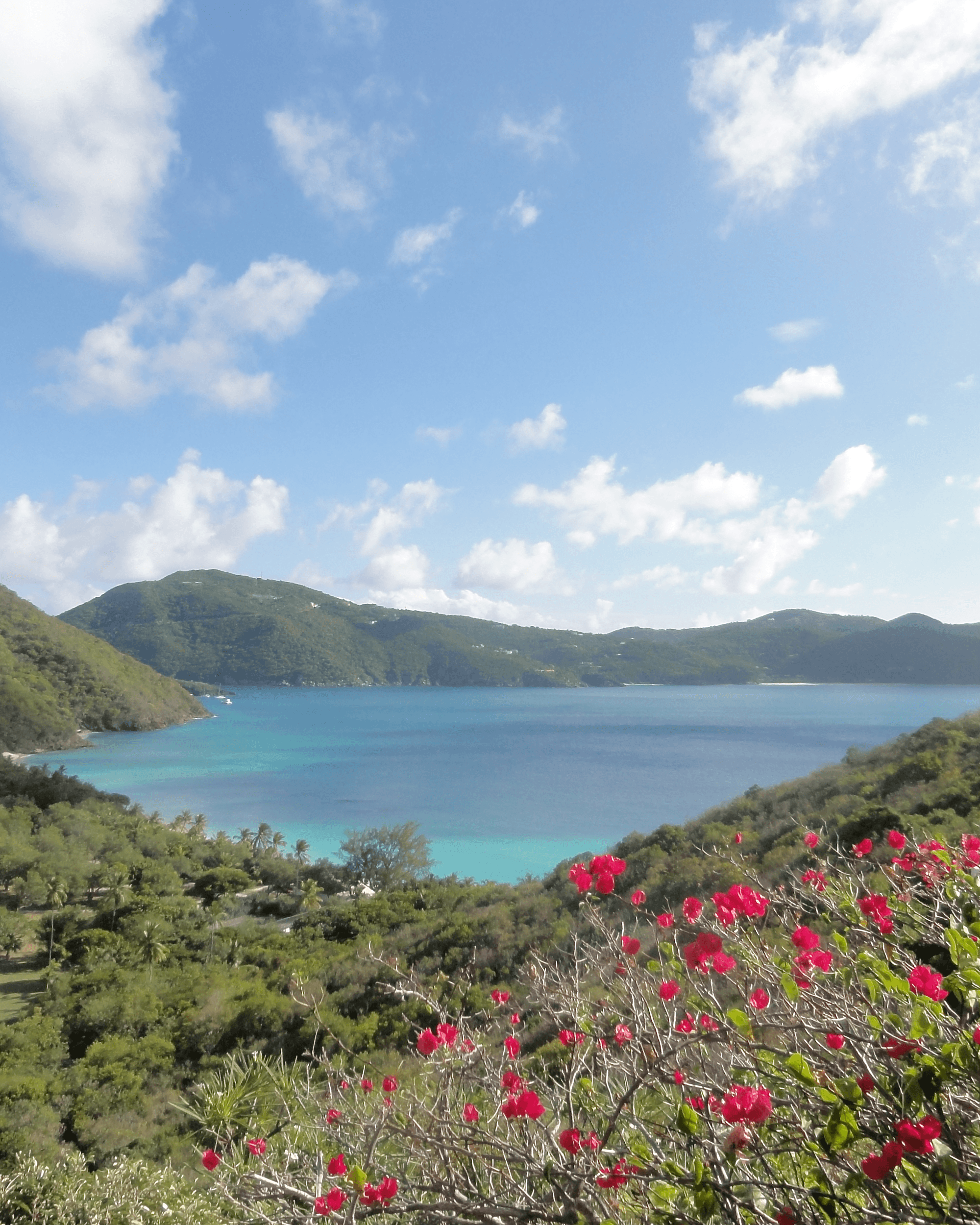 Guana Island Resort – An Exclusive Private Island in the BVIs