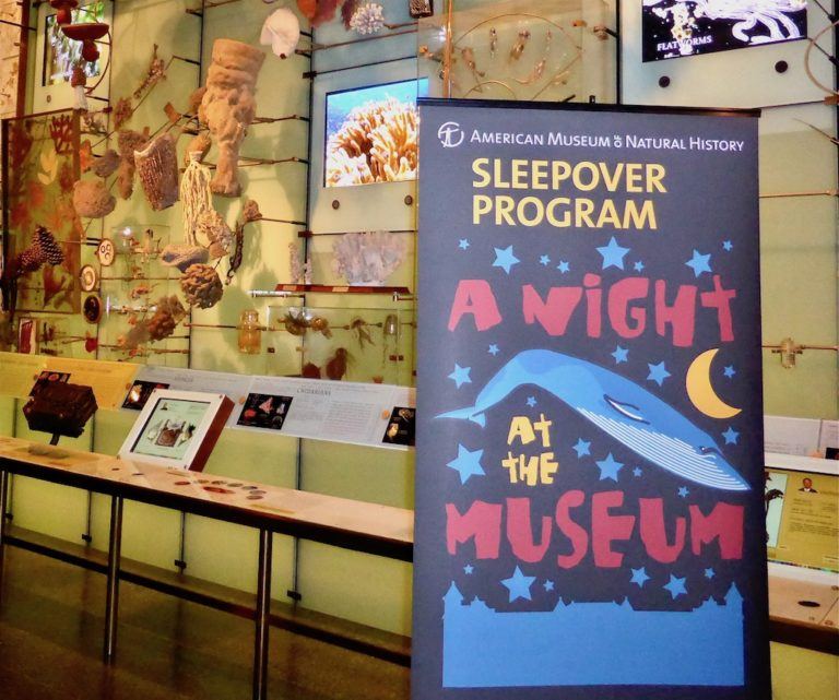 Night at the Museum in New York – AMNH Museum Sleepover
