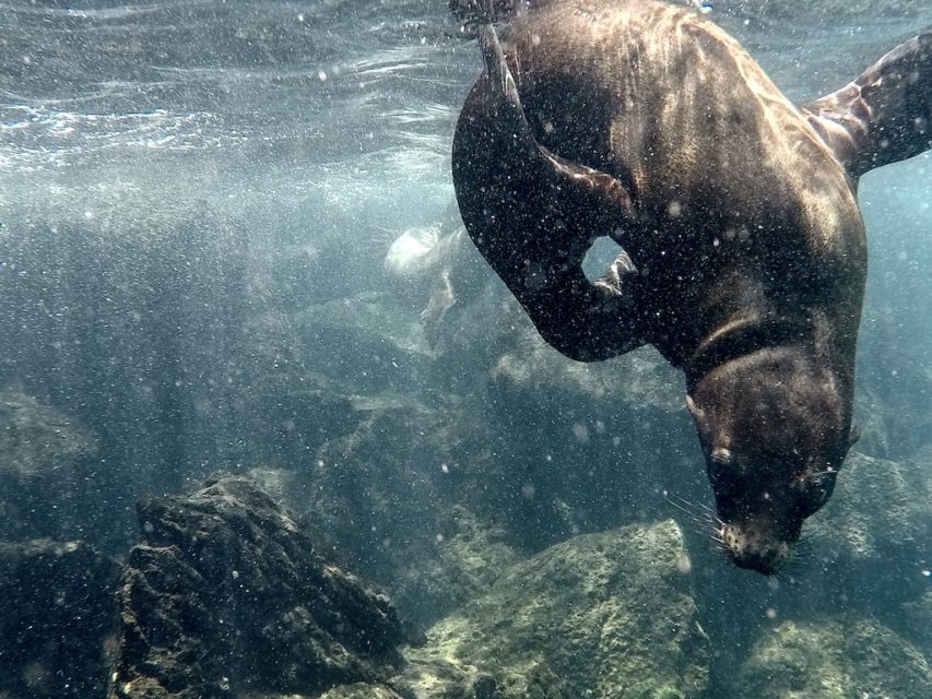 Packing List for Galapagos Travel – The Perfect Galapagos Packing List